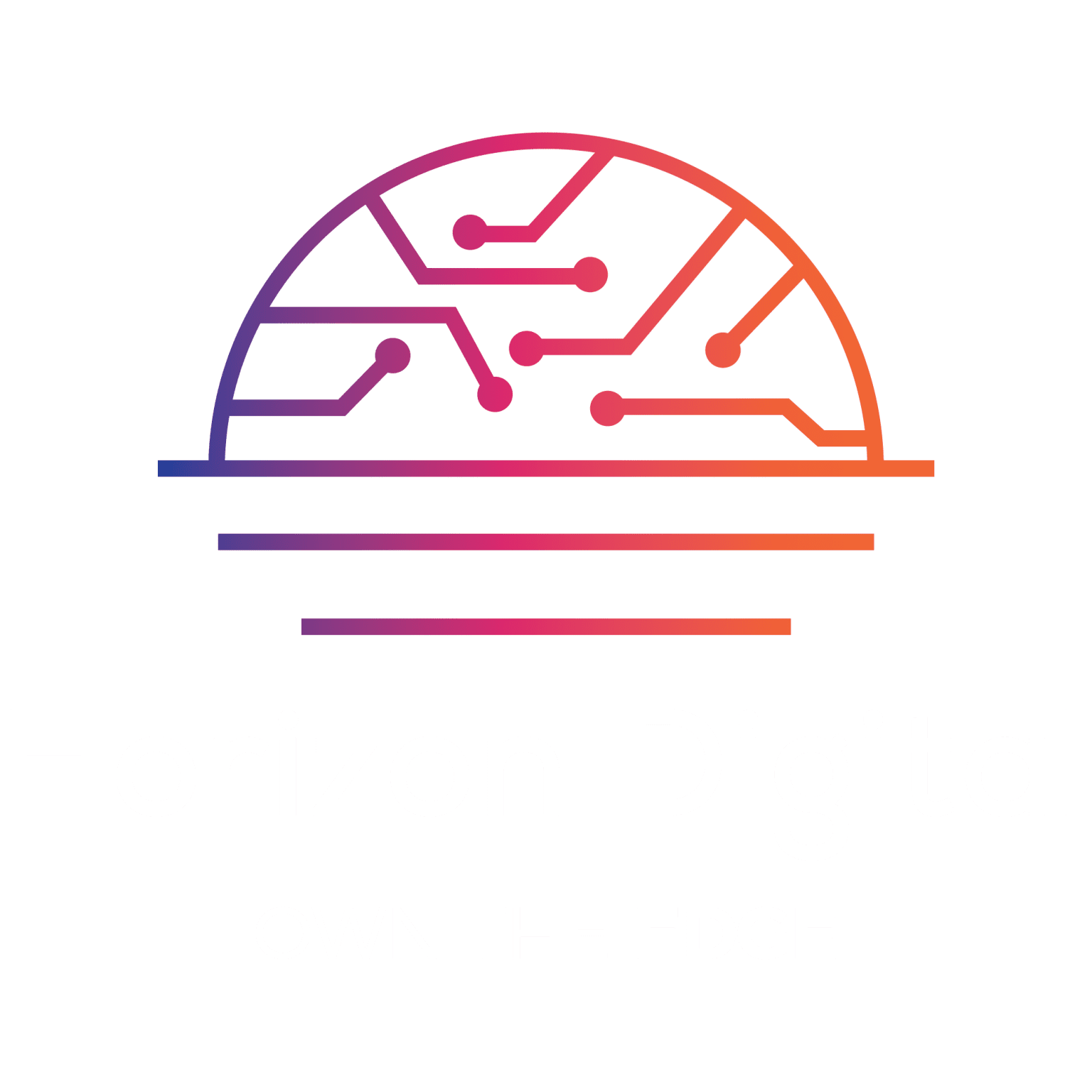 Custom Digital Solutions | Own The Edge | Horizon Digital, Perth